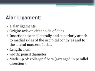 structure of Cervical region | PPTX