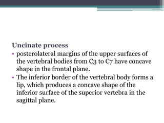 structure of Cervical region | PPTX