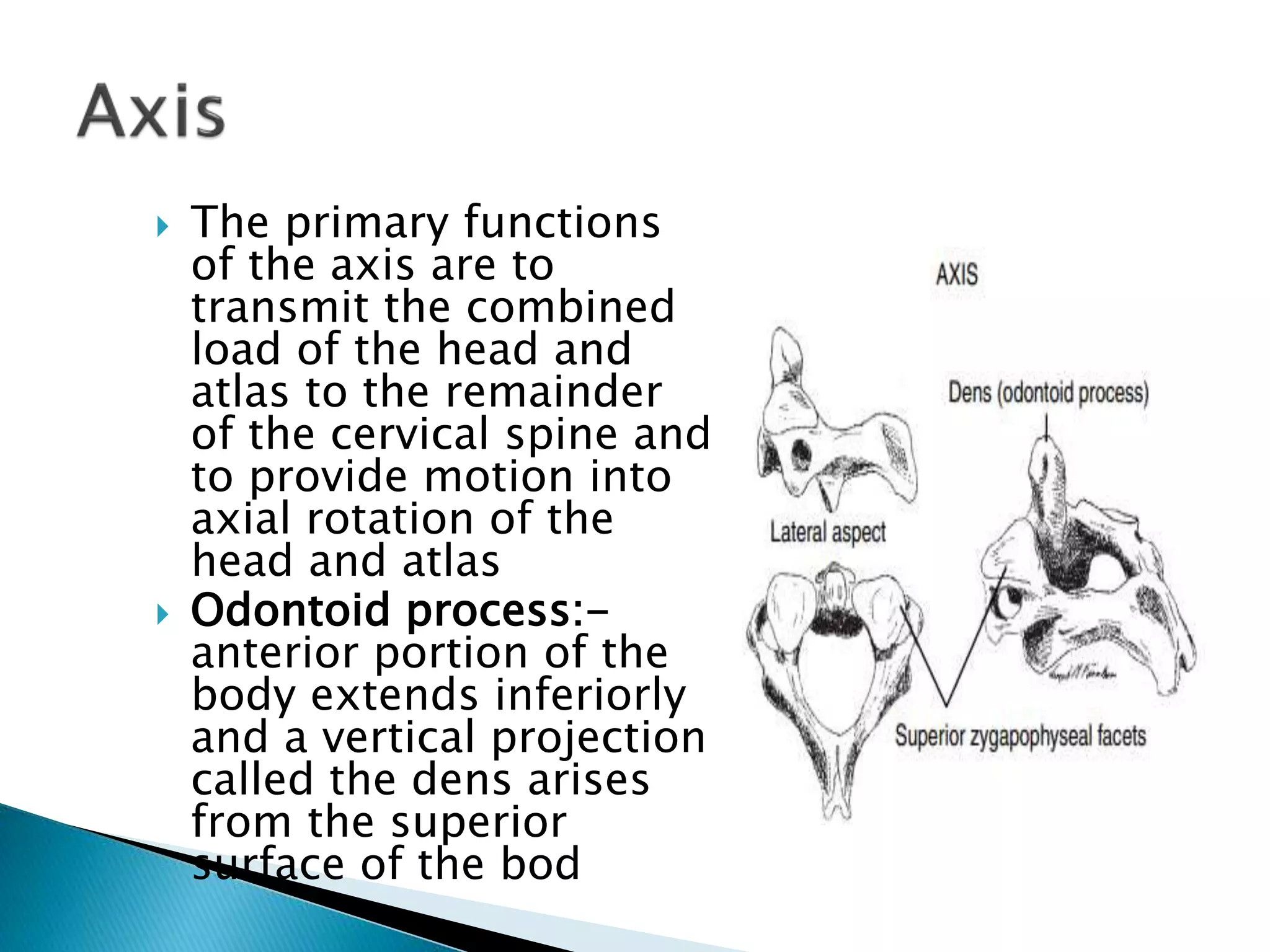 Cervical region biomechanics | PPTX