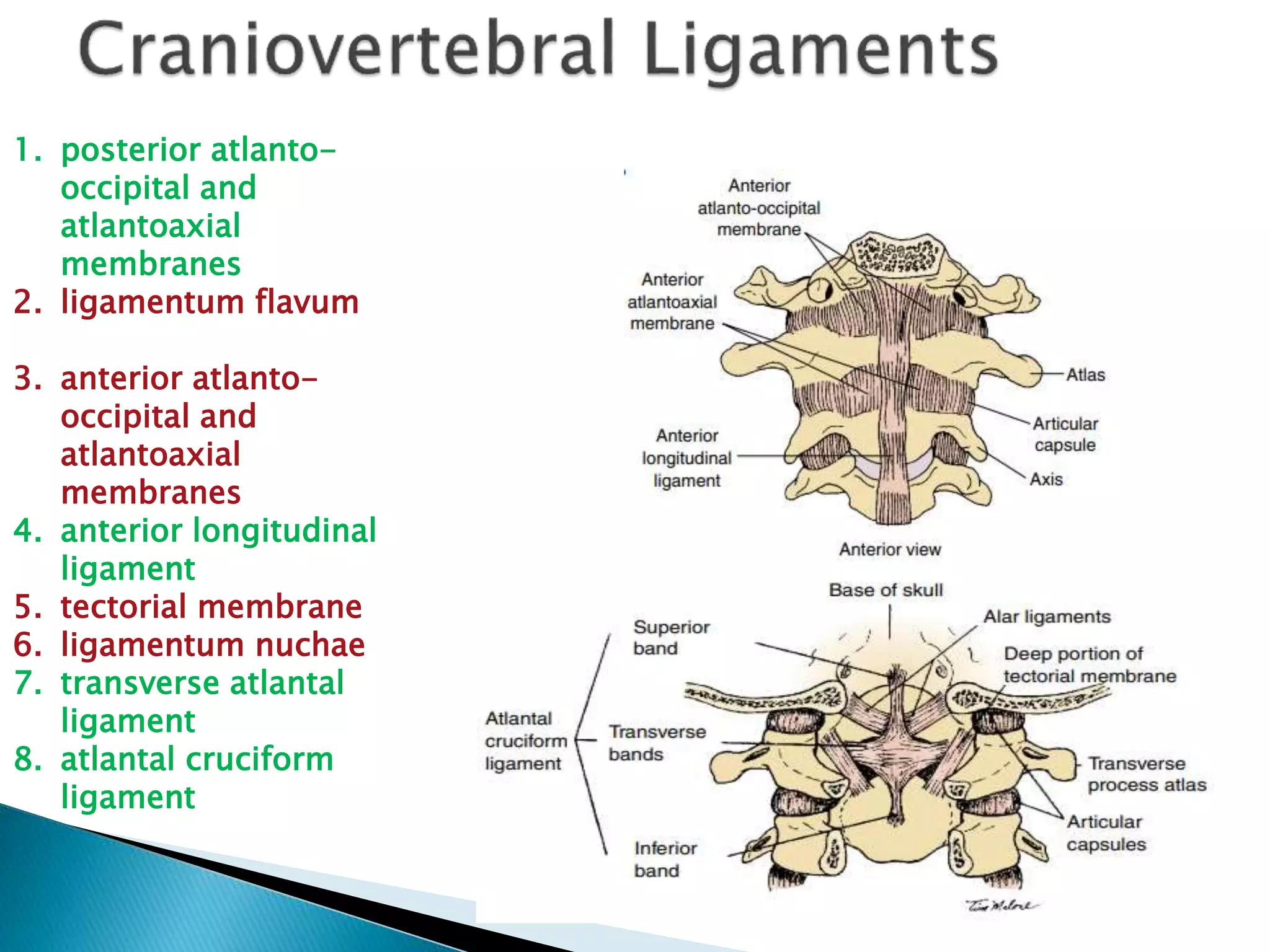 Cervical region biomechanics | PPTX