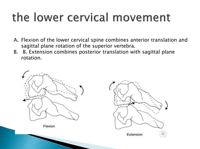 Cervical region biomechanics | PPTX