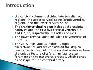 Cervical region biomechanics | PPTX