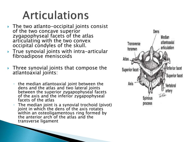 Cervical region biomechanics | PPTX