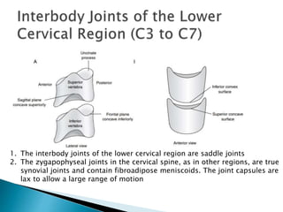 Cervical region biomechanics | PPTX