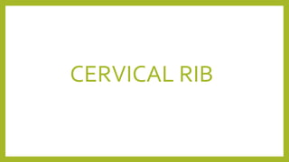 Cervical rib | PPTX