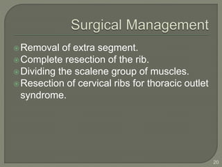 Cervical rib | PPT