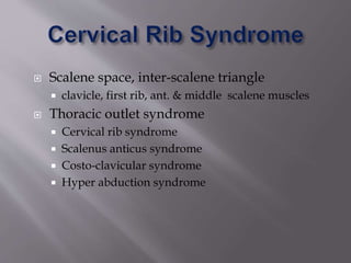 Cervical rib syndrome | PPTX
