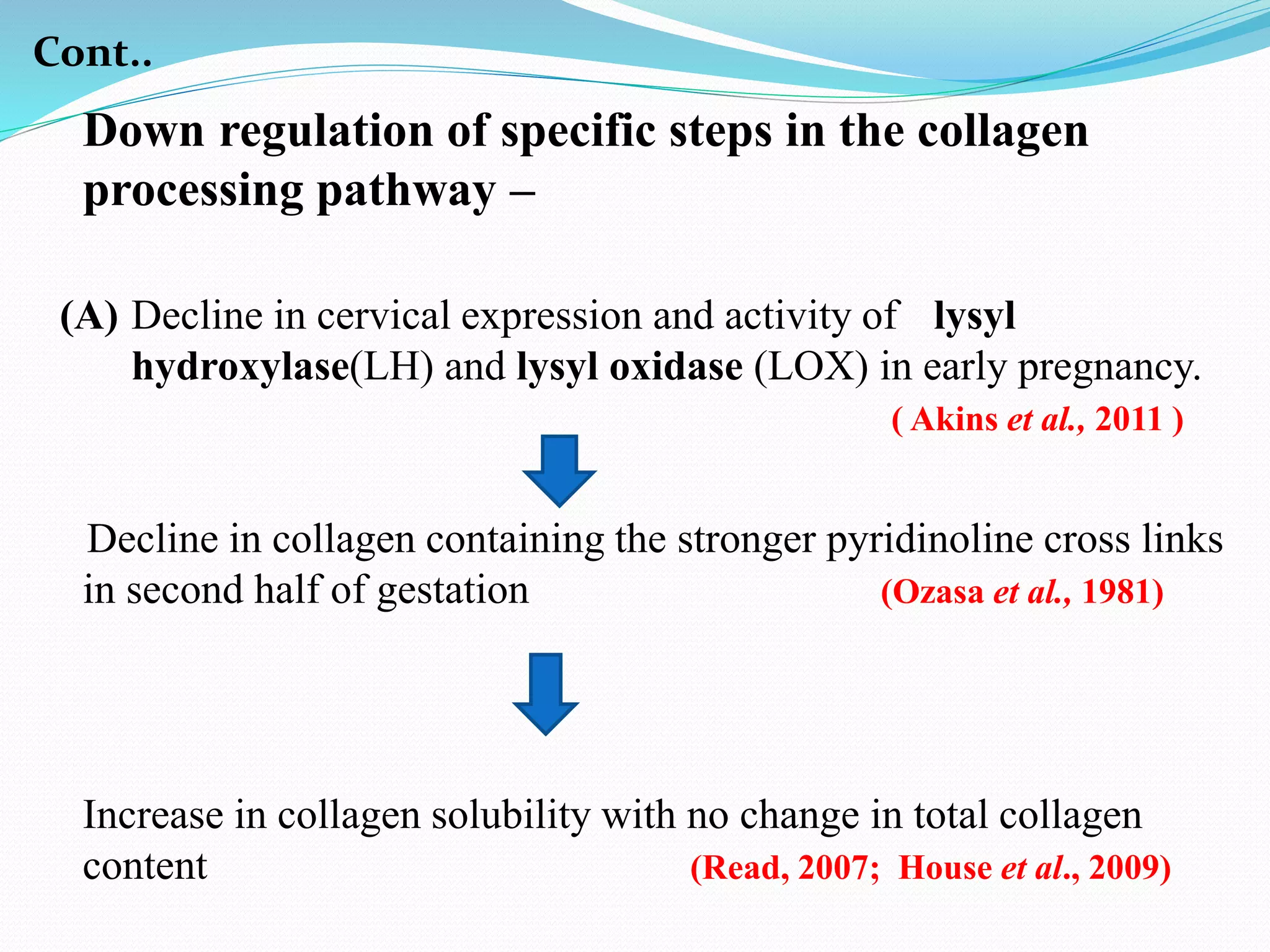 Mechanism of Cervical ripening | PPTX