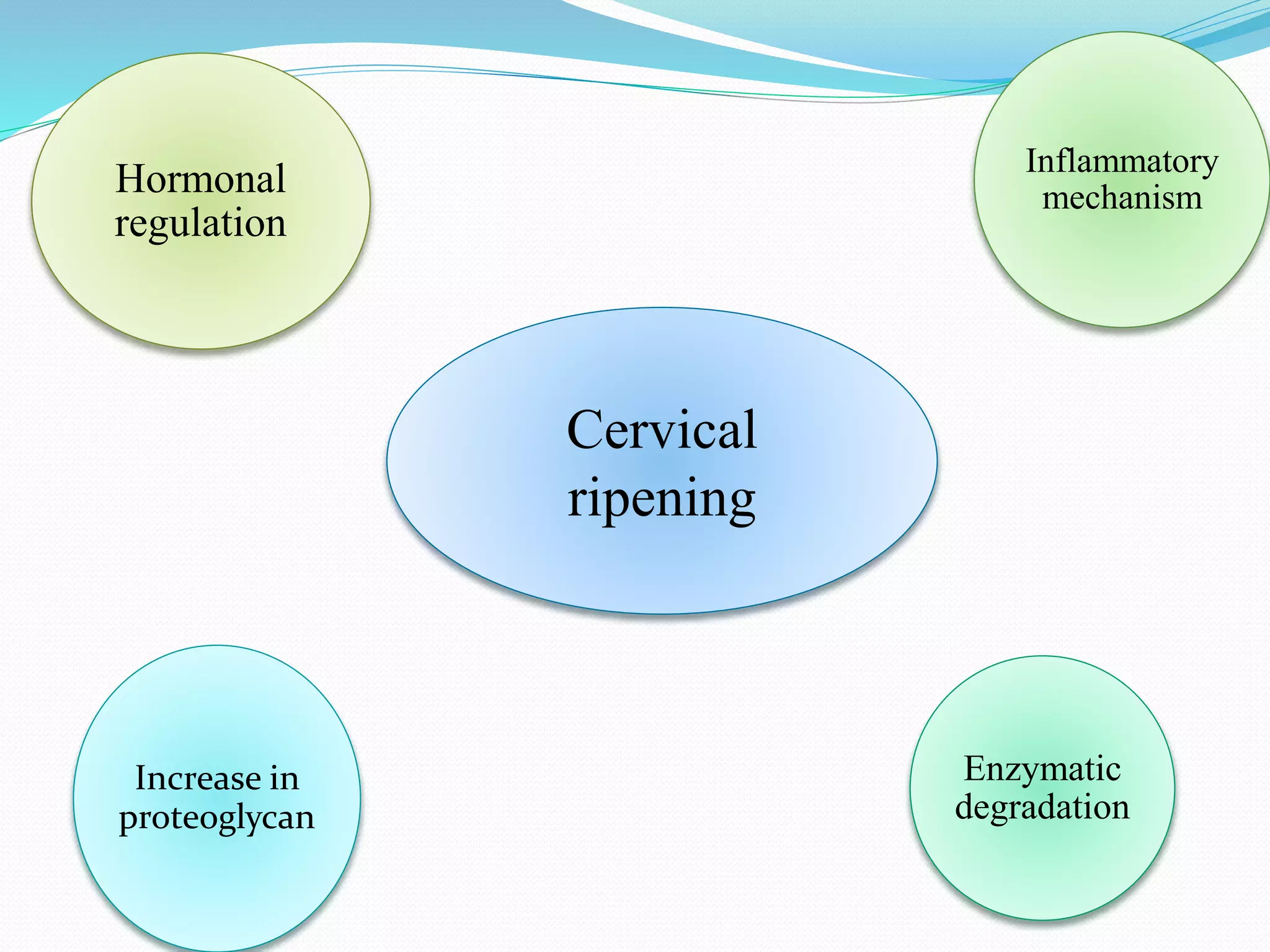 Mechanism of Cervical ripening | PPTX