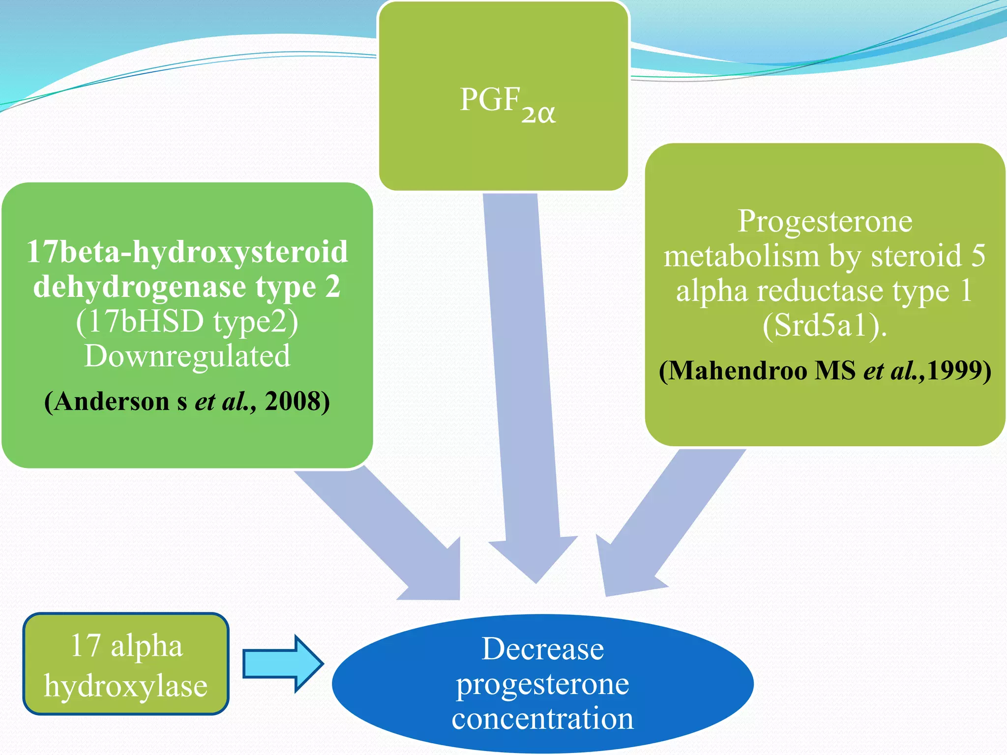 Mechanism of Cervical ripening | PPTX