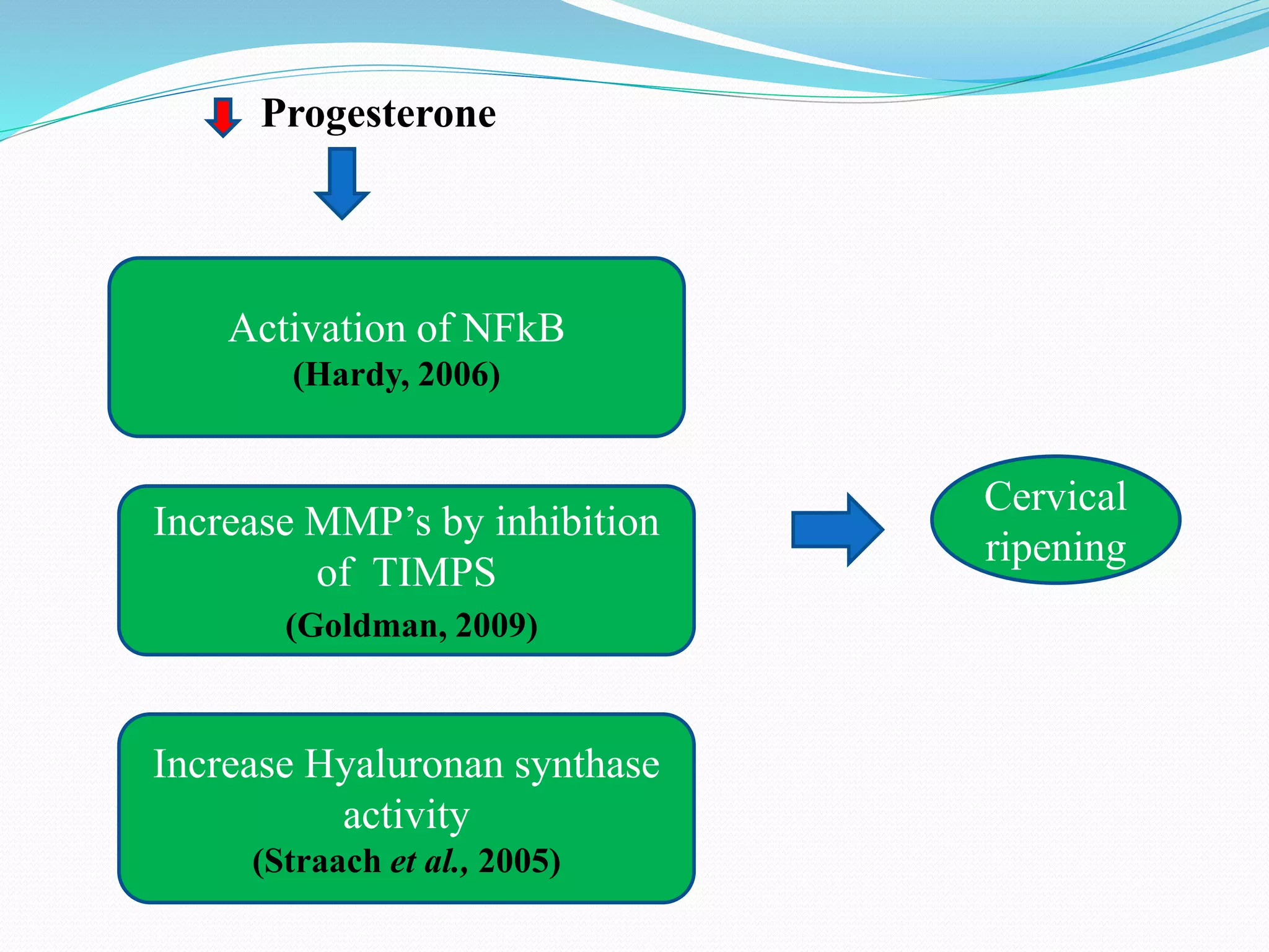 Mechanism of Cervical ripening | PPTX