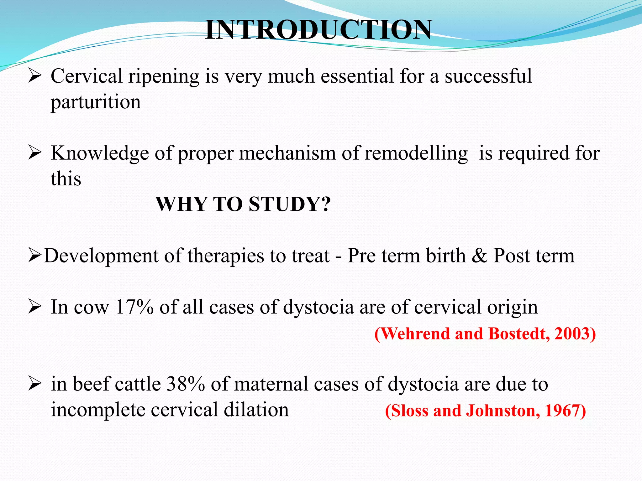 Mechanism of Cervical ripening | PPTX