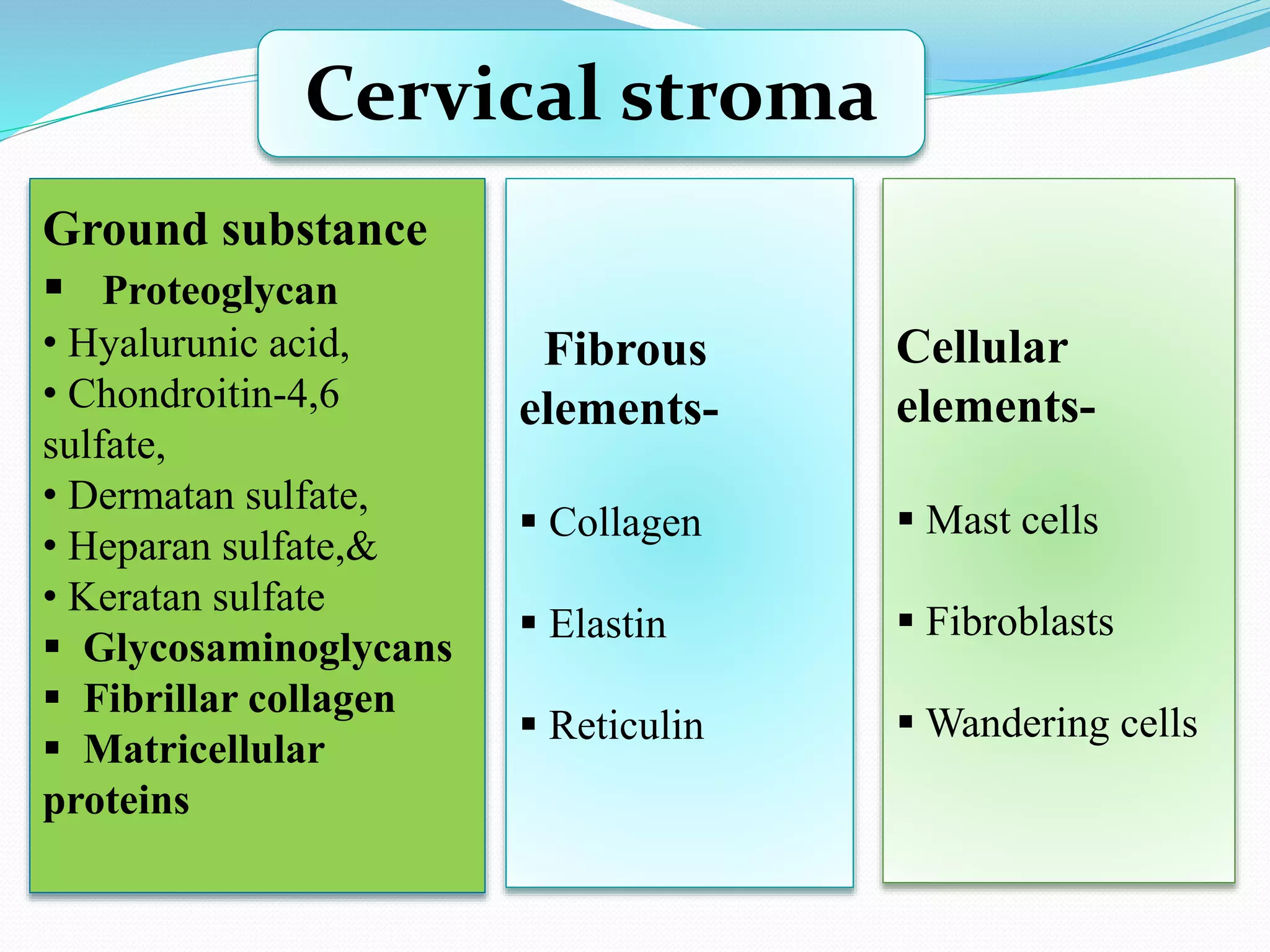 Mechanism of Cervical ripening | PPTX