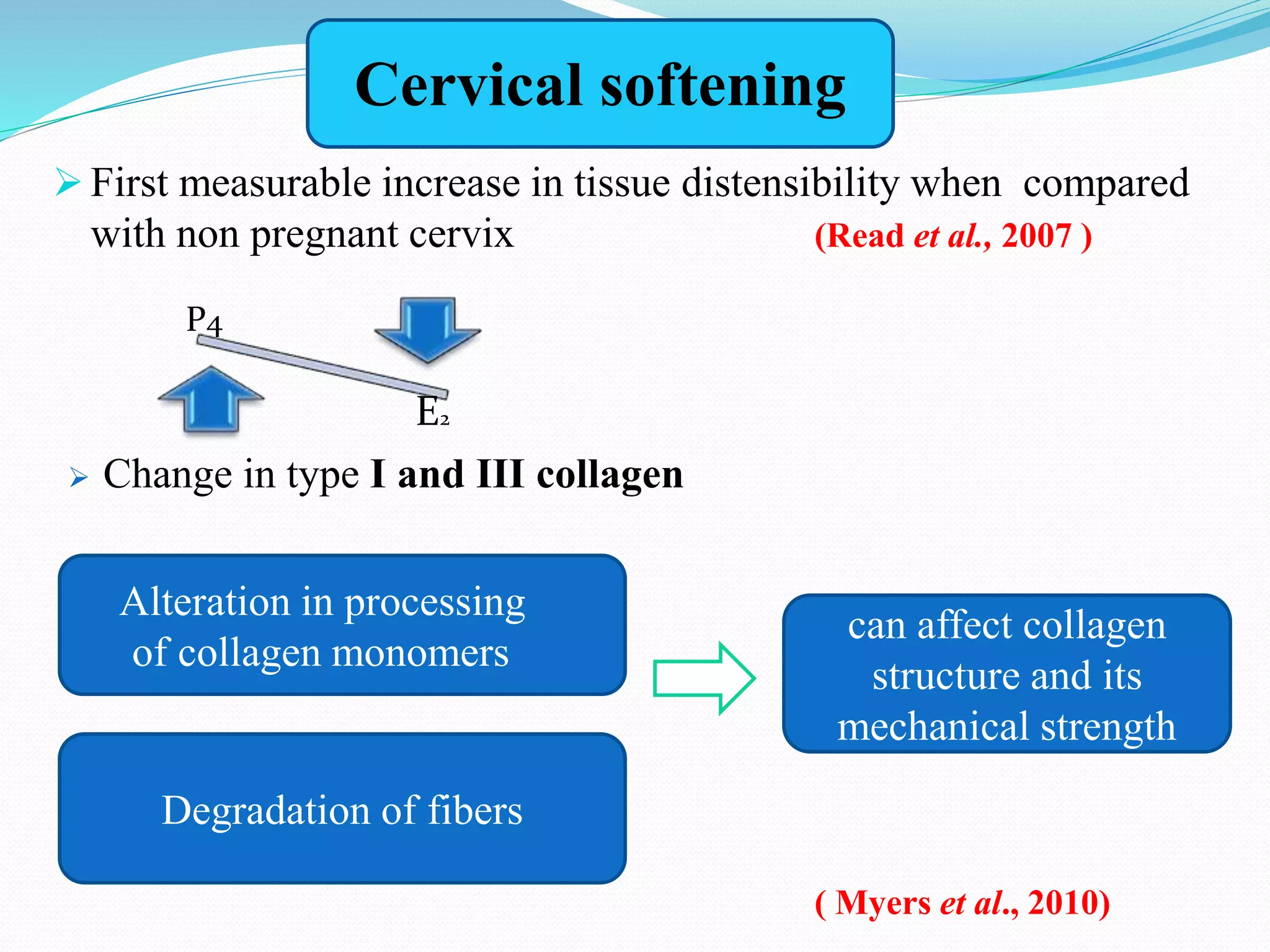 Mechanism of Cervical ripening | PPTX