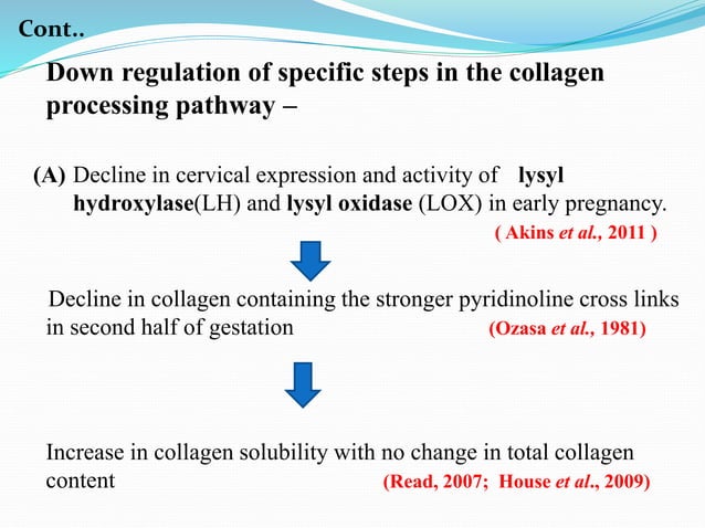 Mechanism of Cervical ripening | PPTX