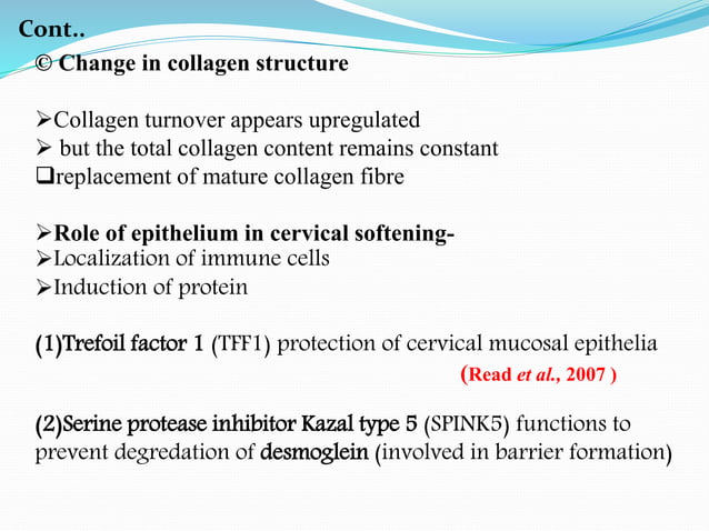 Mechanism of Cervical ripening | PPT