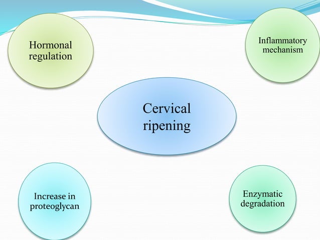 Mechanism of Cervical ripening | PPTX