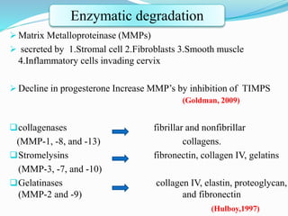 Mechanism of Cervical ripening | PPTX