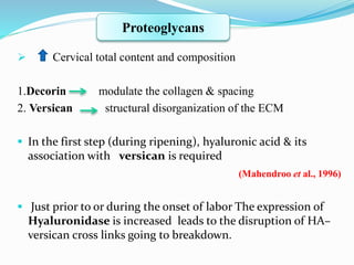 Mechanism of Cervical ripening | PPTX