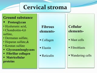 Mechanism of Cervical ripening | PPTX