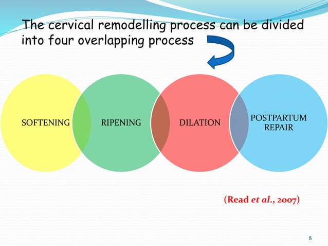 Mechanism of Cervical ripening | PPT