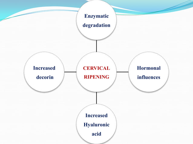 Cervical ripening and labour induction | PPTX | Pregnancy ...