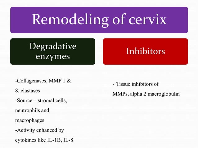 Cervical ripening and labour induction | PPTX | Pregnancy ...