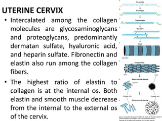 Cervical ripening and the bishop score | PPTX