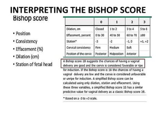 Bishop Score Table