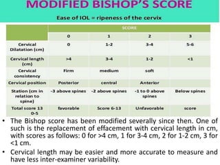Bishop Scoring System S