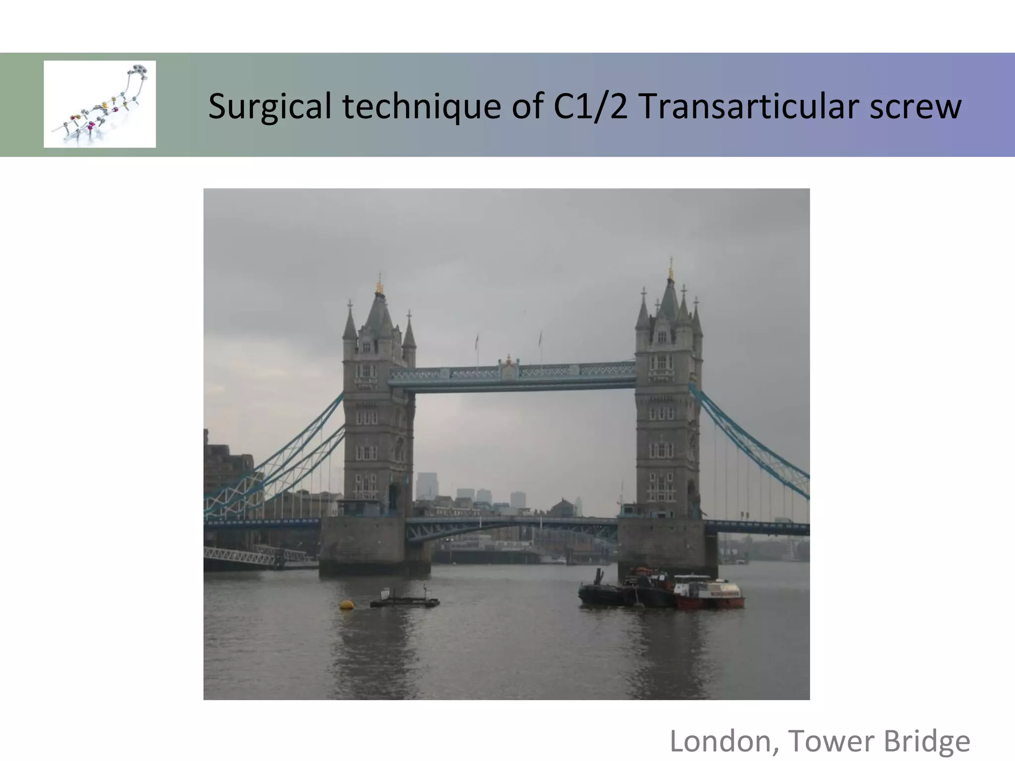 CervicalScrew2011 | PPT