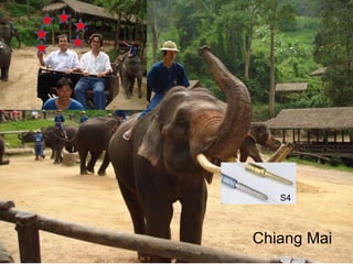 CervicalScrew2011 | PPT