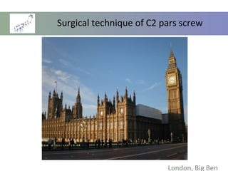 CervicalScrew2011 | PPT