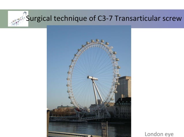 CervicalScrew2011 | PPT