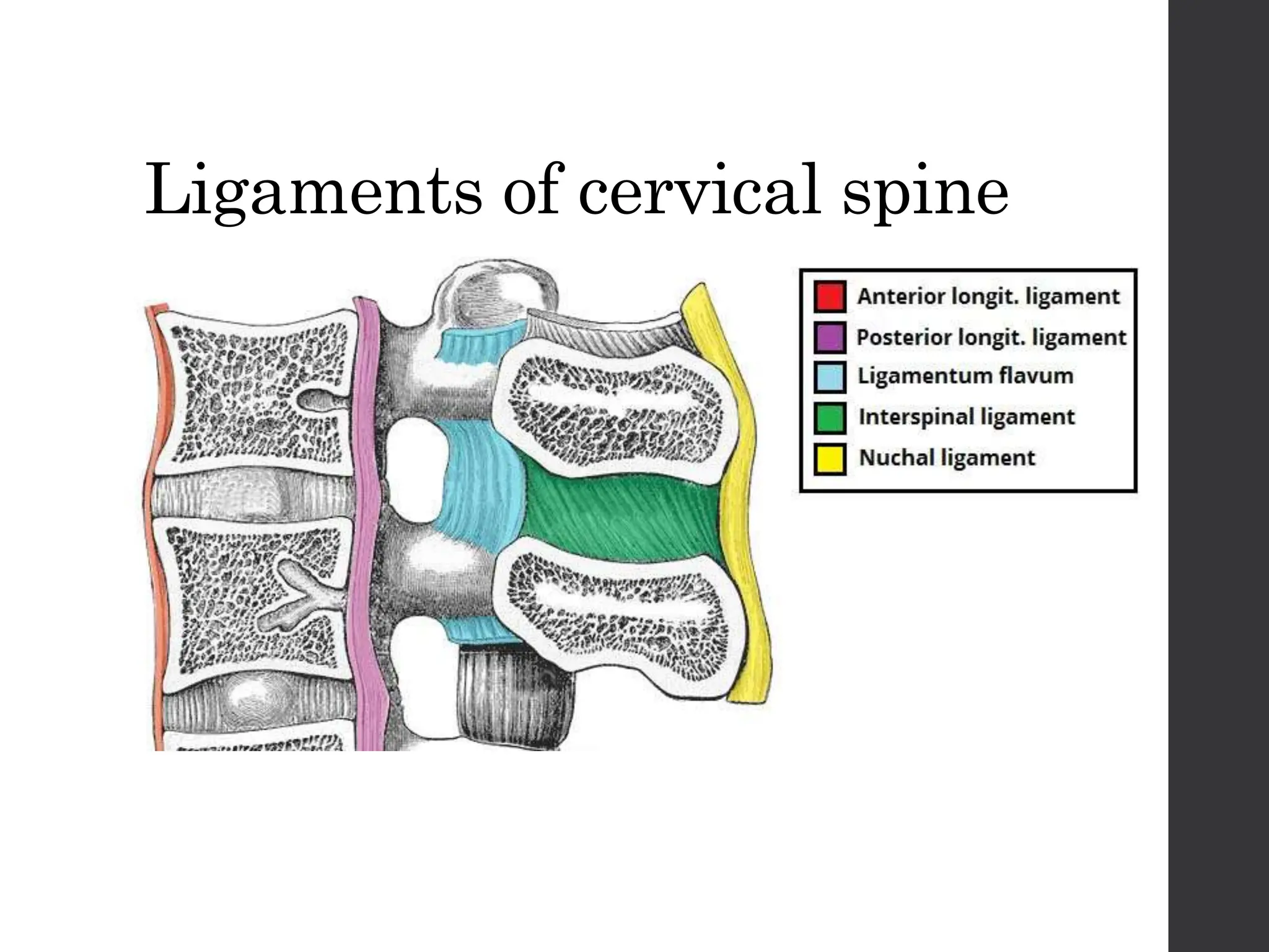 Cervical examination and special tests.pptx