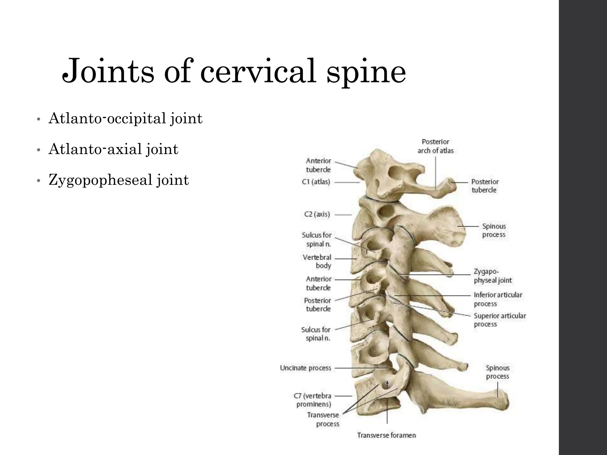 Cervical examination and special tests.pptx