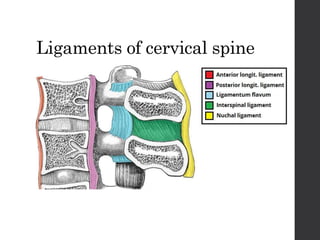 Cervical examination and special tests.pptx
