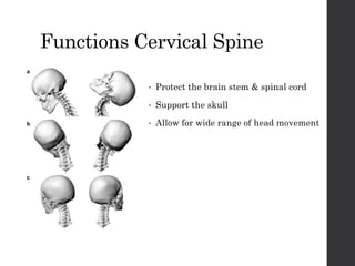 Cervical examination and special tests.pptx