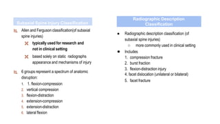 Cervical Spinal Cord Injury j- Yudi.pptx