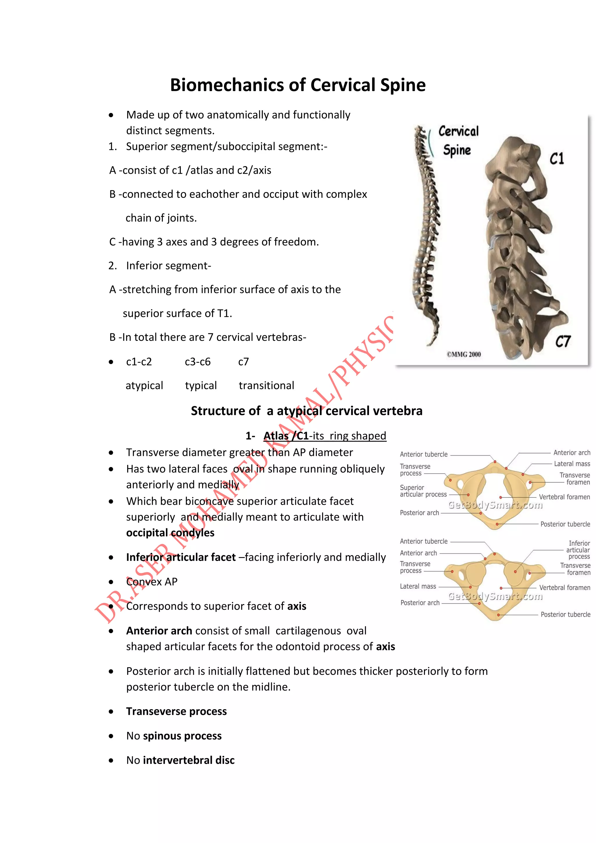 Cervical spine | PDF