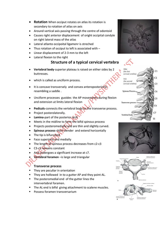 Cervical spine | PDF