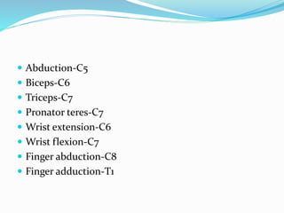 Cervical spine | PPTX