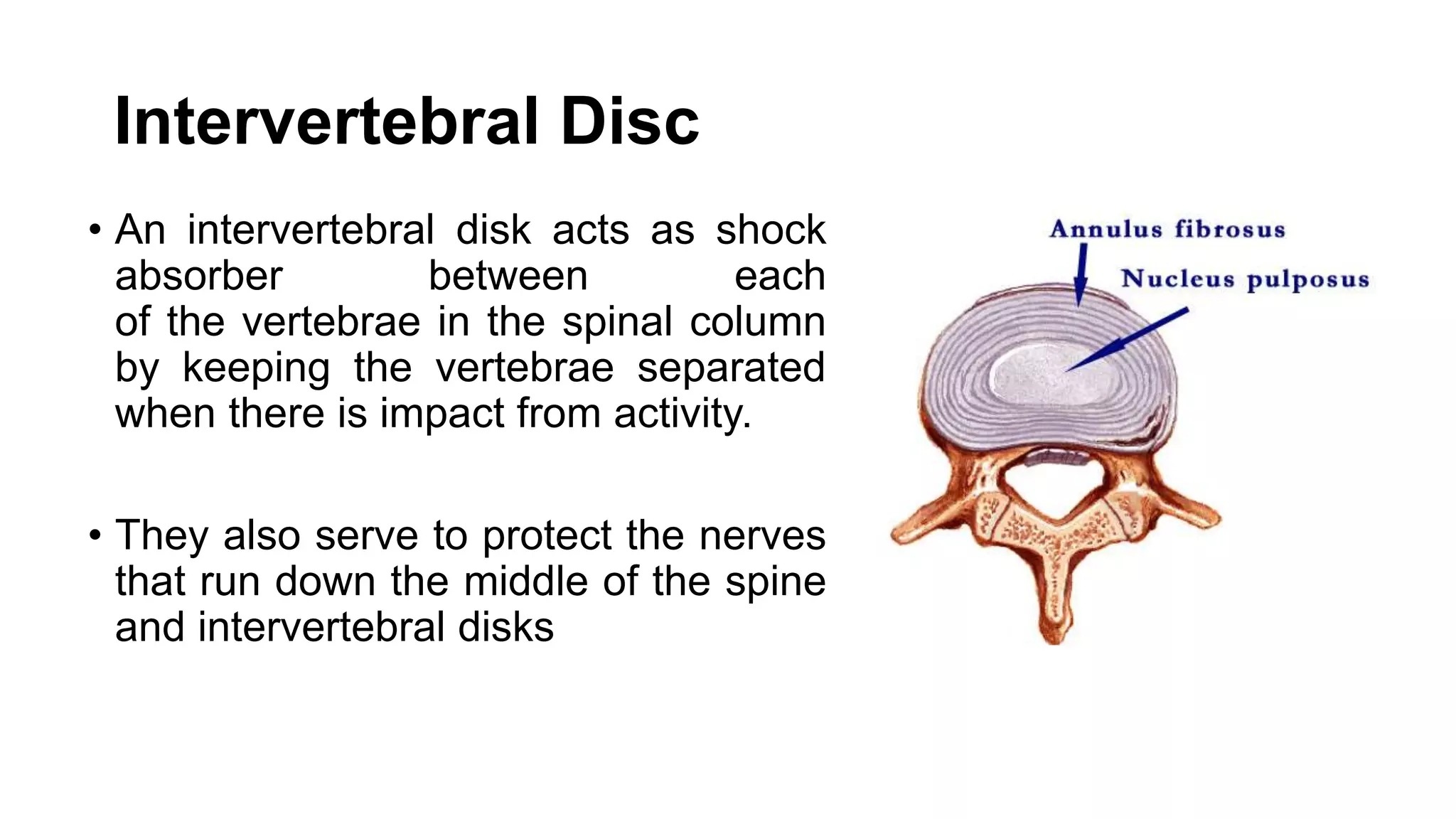Cervical spine | PPTX
