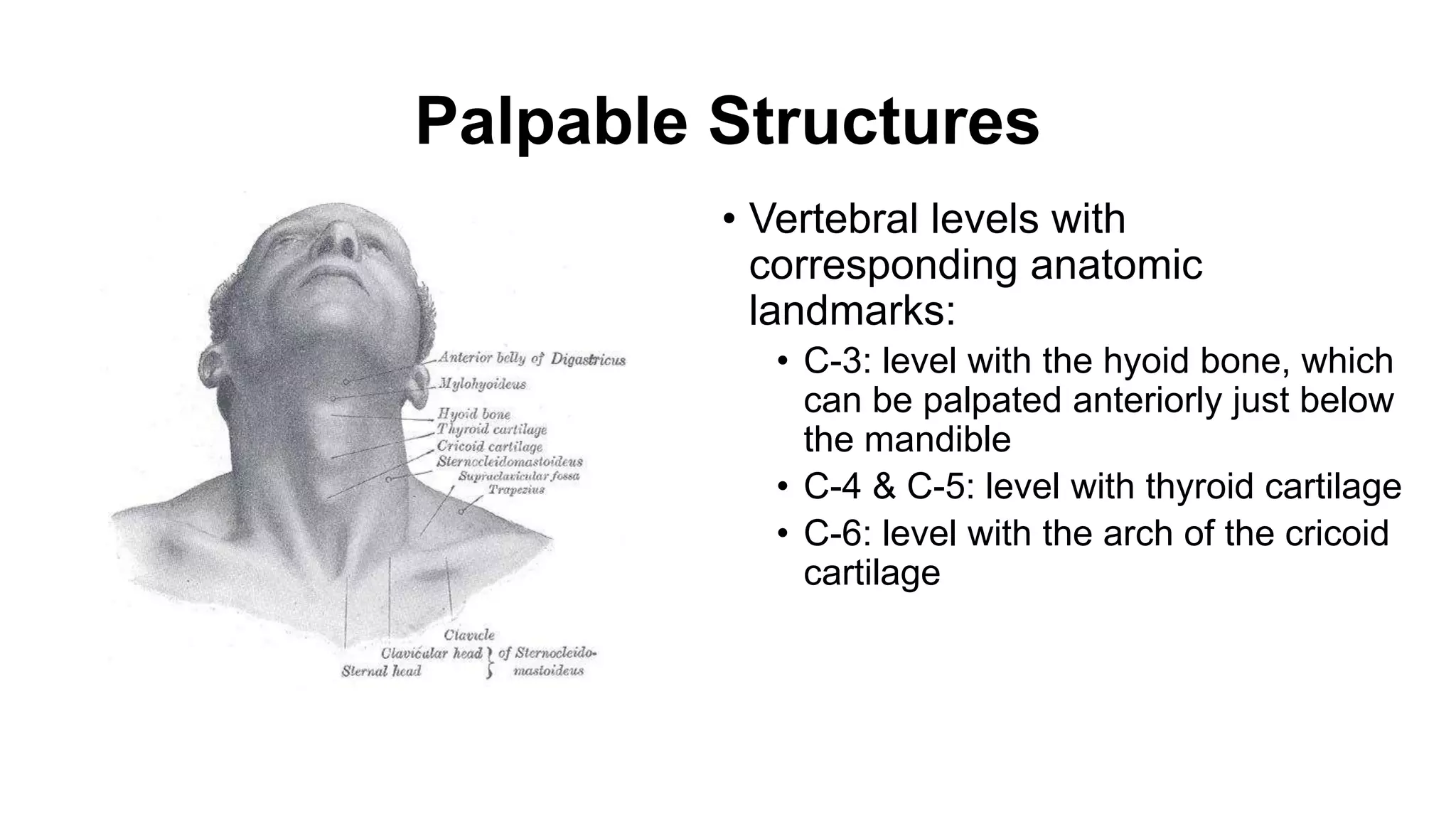 Cervical spine | PPTX