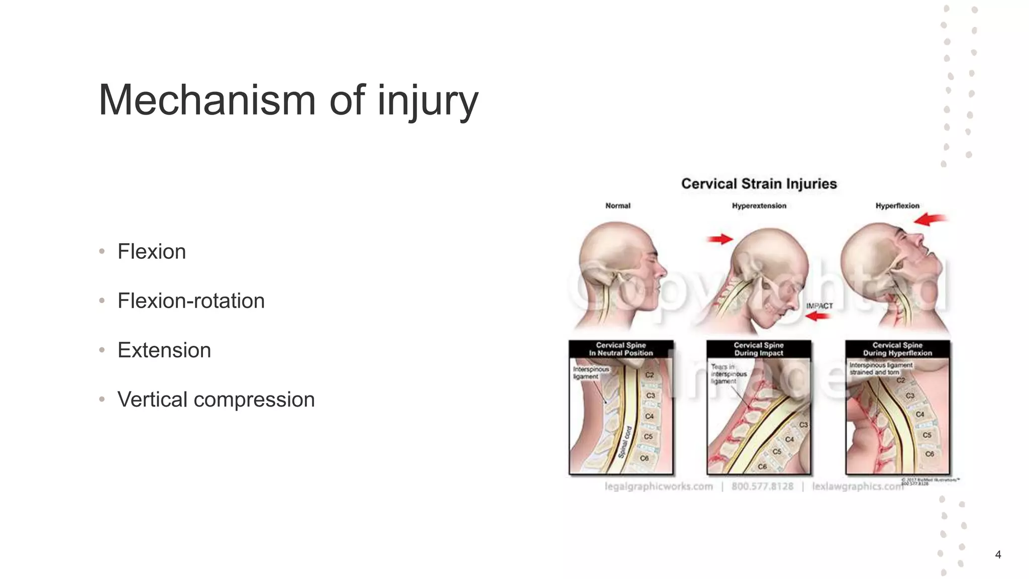 Cervical spine | PPT