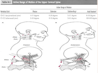 Subjective Examination Cervical spine Amir | PPTX