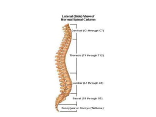 Subjective Examination Cervical spine Amir | PPTX