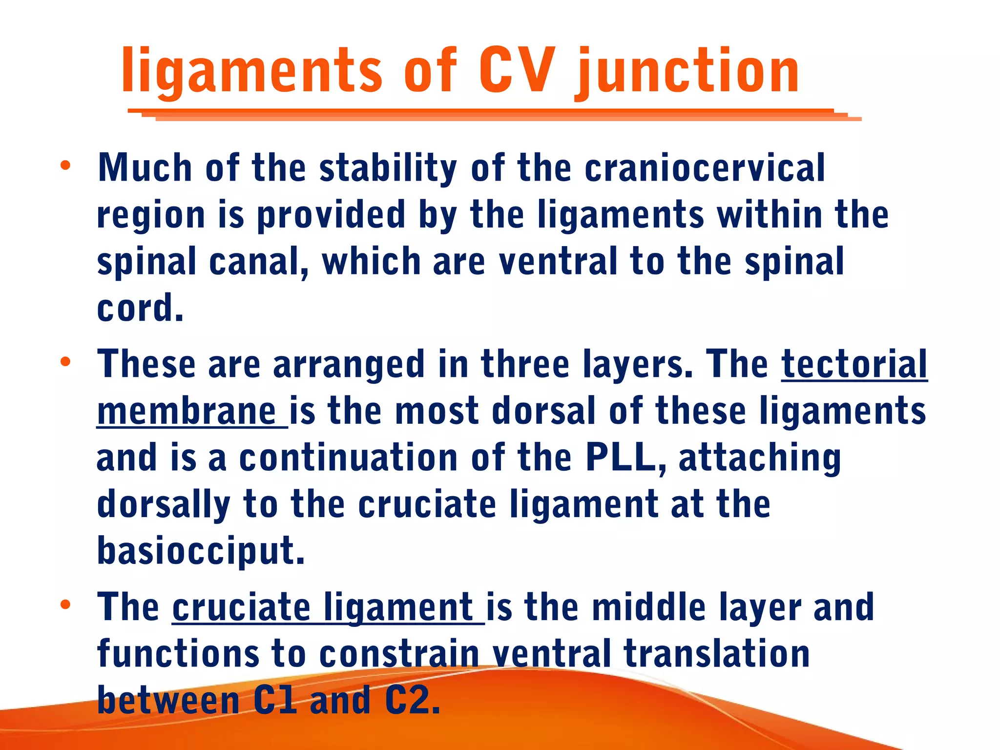 Cervical spine anatomy | PPT