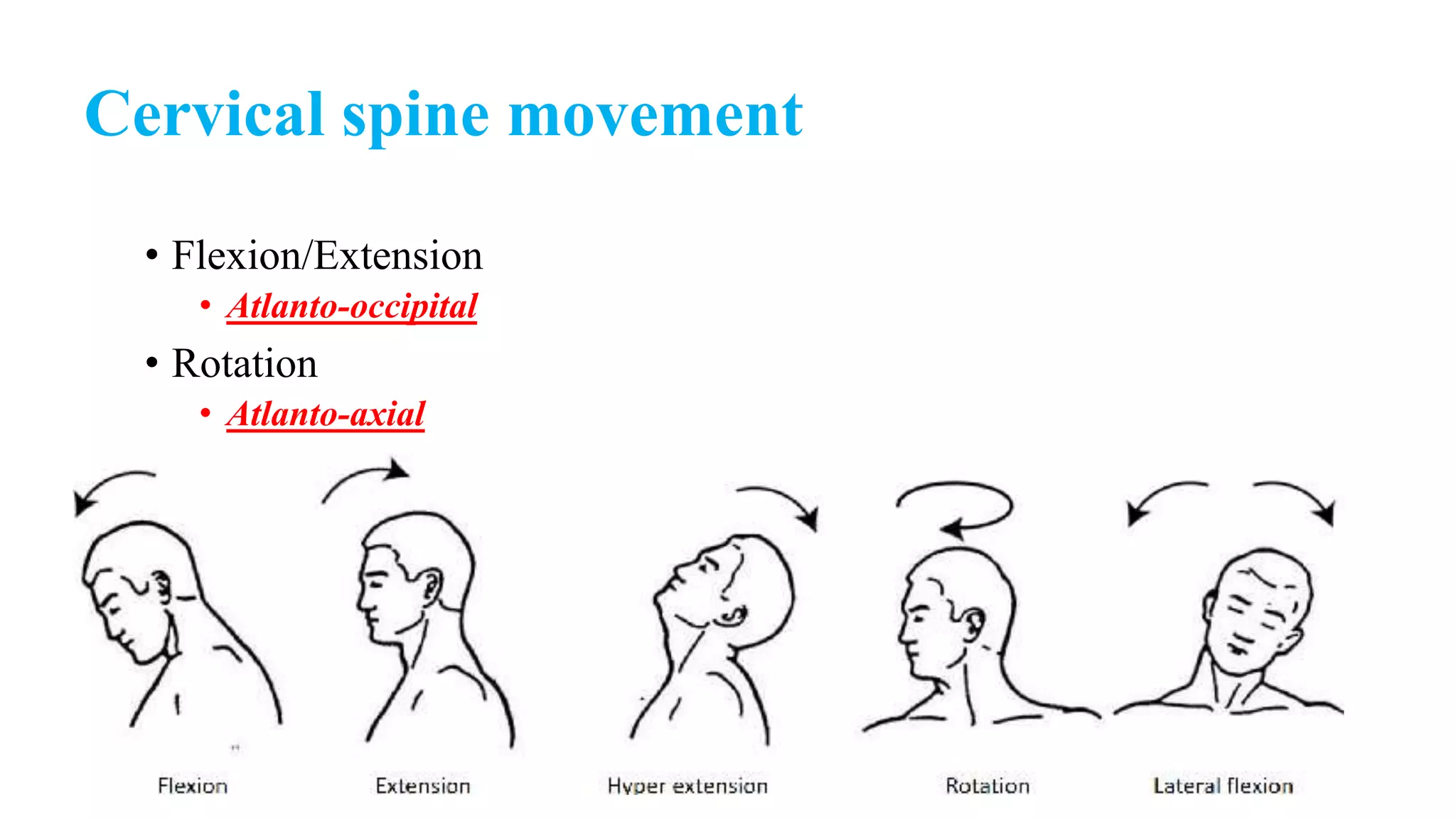 Cervical spine anatomy.pptx