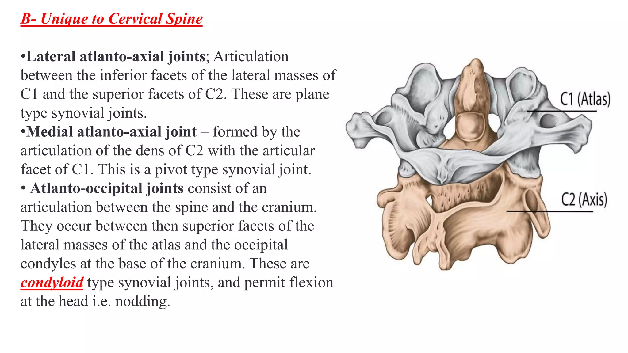 Cervical spine anatomy.pptx
